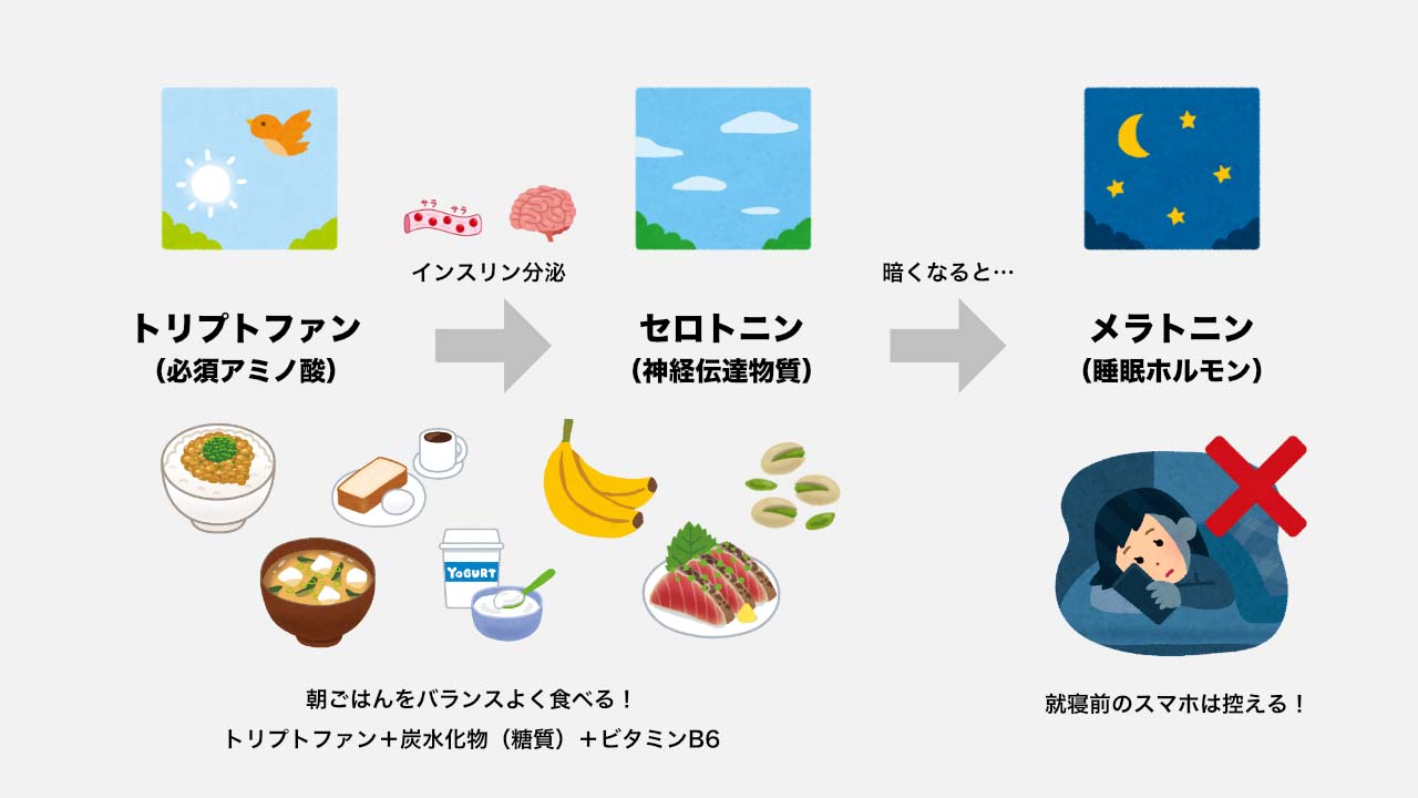 質の良い睡眠をとる方法を睡眠専門医が解説!【快眠・熟睡】